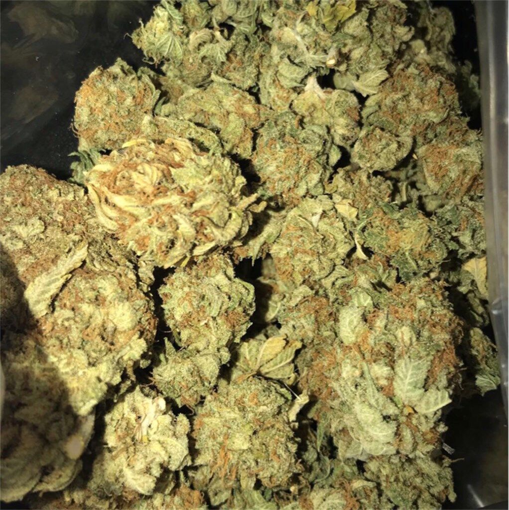 Bubba Kush USA - Buy Bubba Kush strain in USA